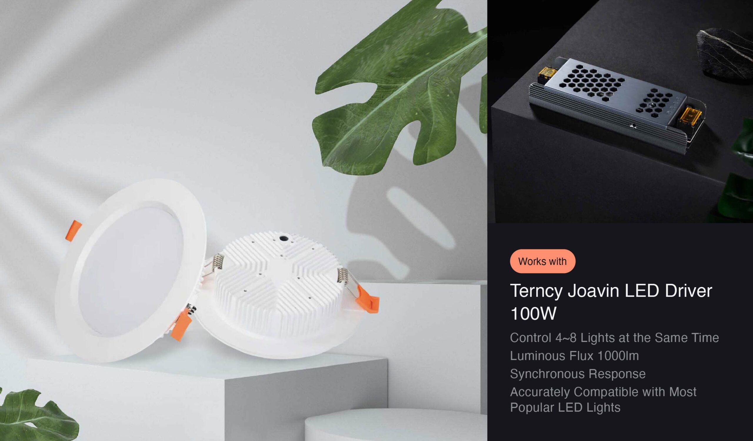 12W Smart CCW Downlight (Dual Mode) 36V - 4-connect